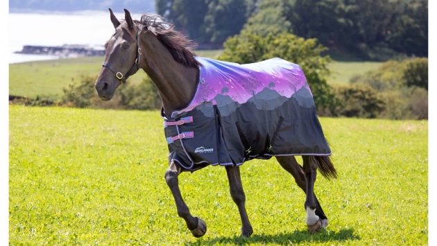 Patterned horse rugs to feast your eyes on | Horse & Hound