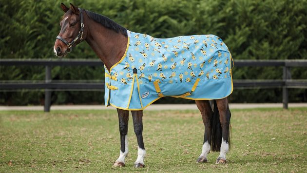 Patterned horse rugs to feast your eyes on | Horse & Hound