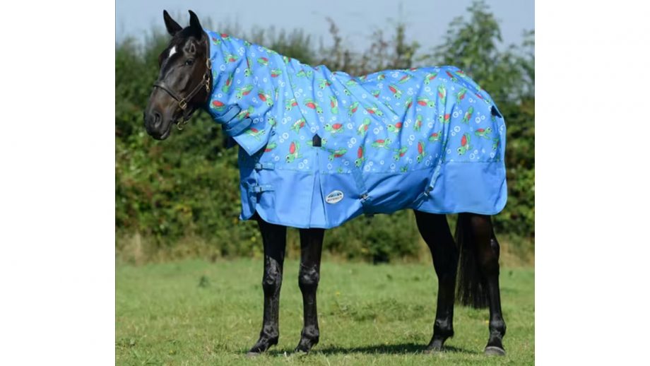 Patterned horse rugs to feast your eyes on | Horse & Hound