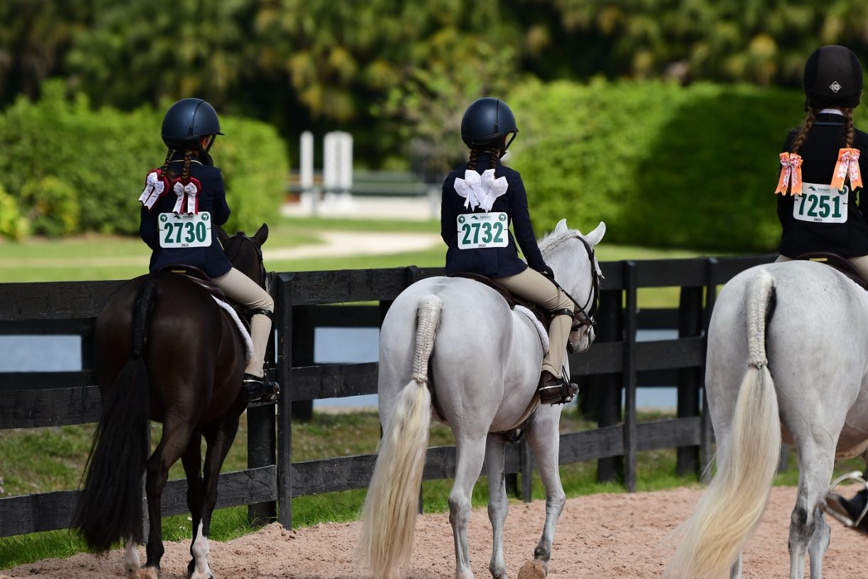 Ponies are the training ground for grand prix at Winter Equestrian Festival