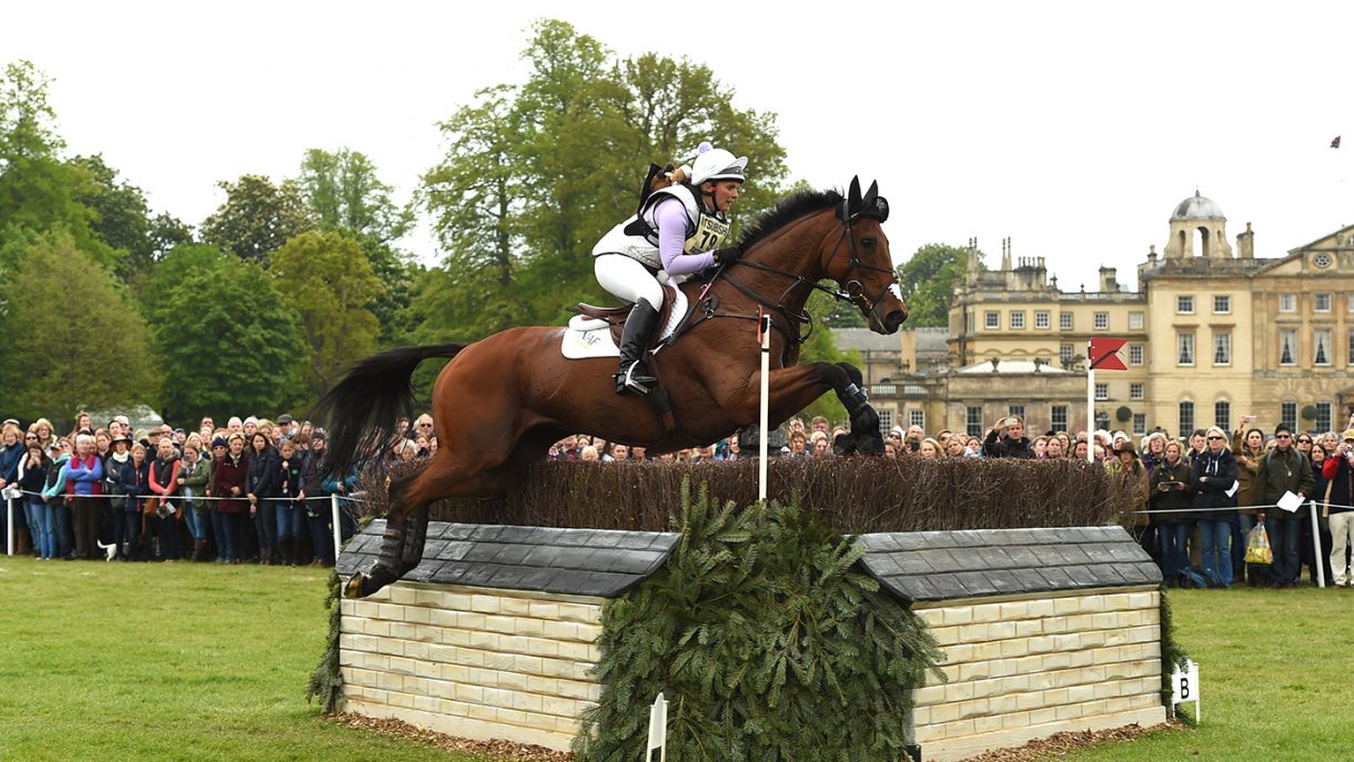 Event horses that died in 2022: a farewell to some greats