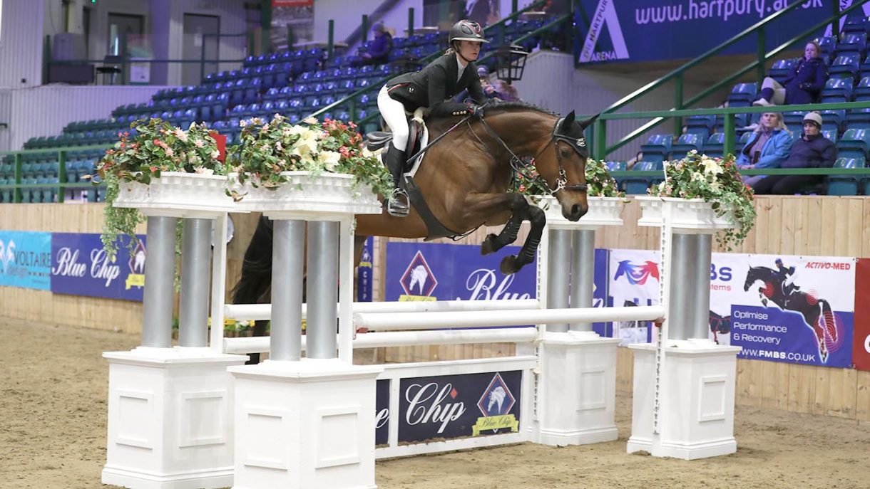 Are these the equine stars of the future? Meet the youngsters who ...