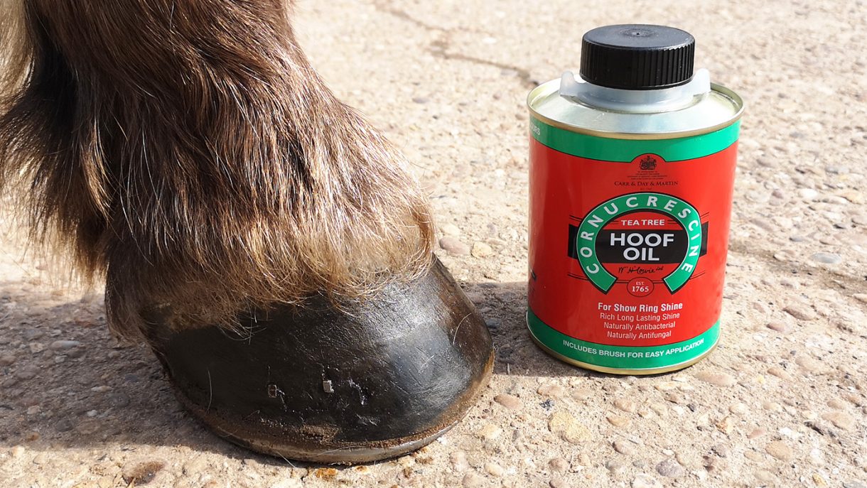 Carr & Day & Martin Cornucrescine Tea Tree review | Horse & Hound