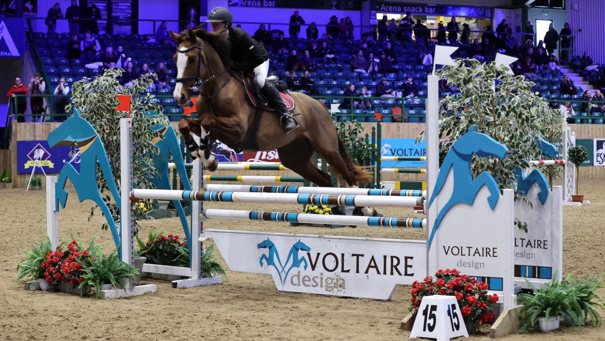 Are these the equine stars of the future? Meet the youngsters who ...