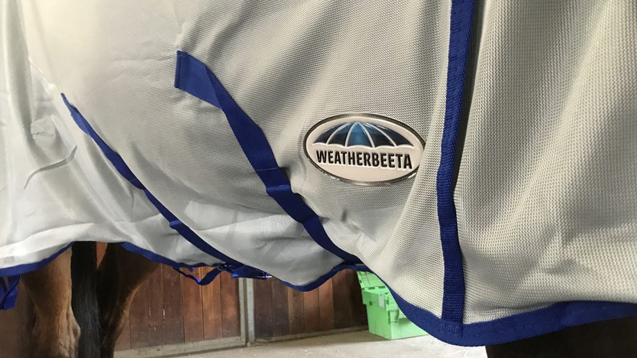 WeatherBeeta ComFiTec 600D/Mesh II waterproof fly rug | Horse & Hound