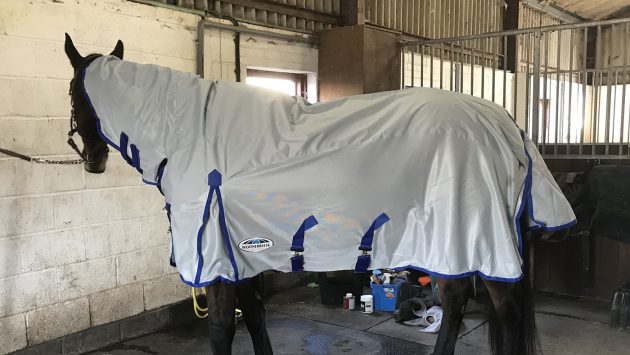 WeatherBeeta ComFiTec 600D/Mesh II waterproof fly rug | Horse & Hound