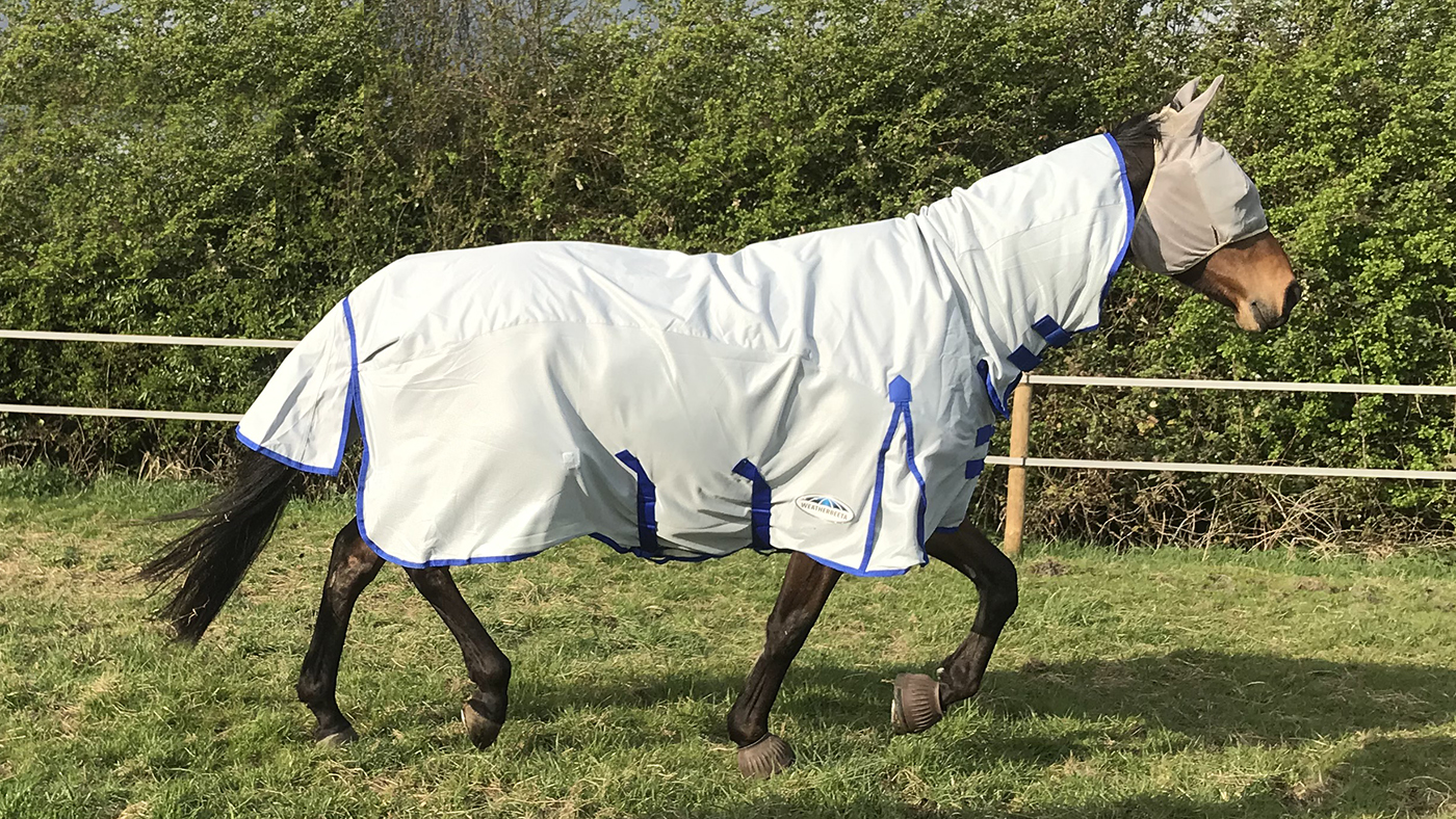 WeatherBeeta ComFiTec 600D/Mesh II waterproof fly rug | Horse & Hound