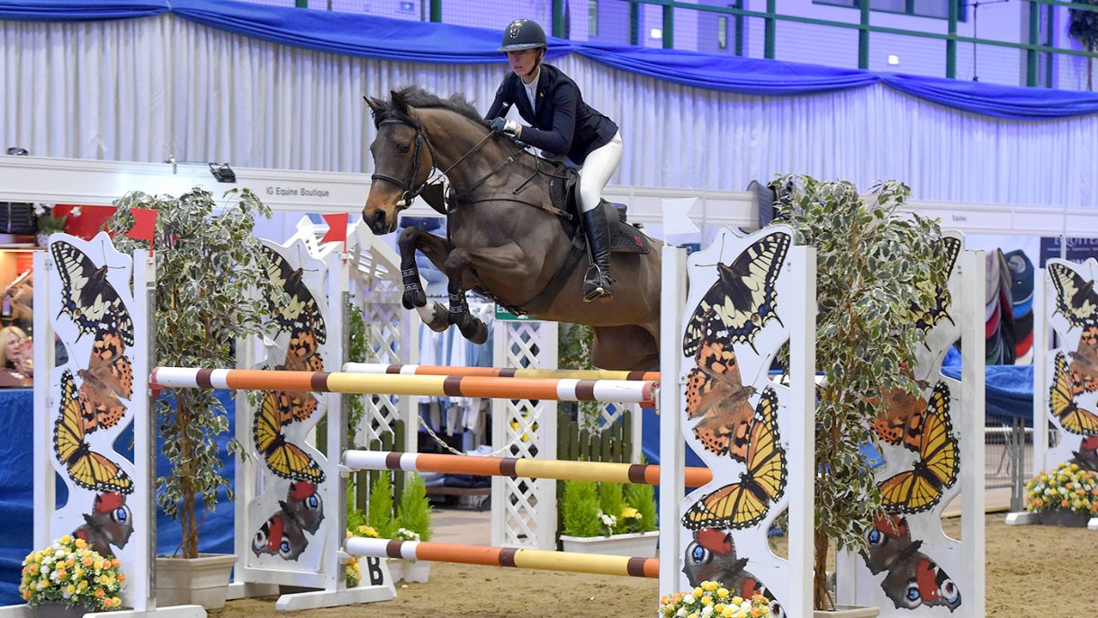 Are these the equine stars of the future? Meet the youngsters who ...