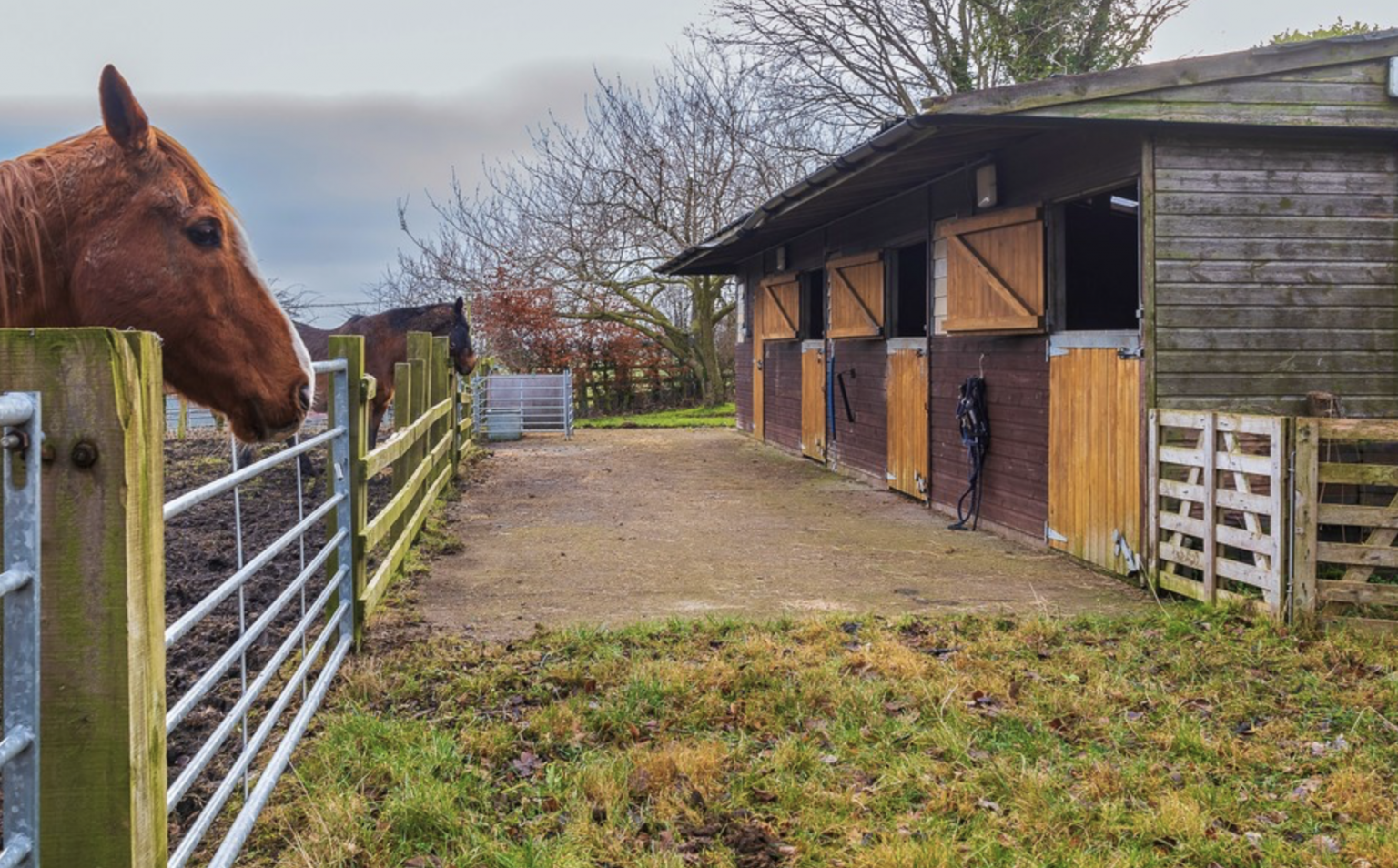 A 5-bed country house with stables, grazing – just five minutes from a ...