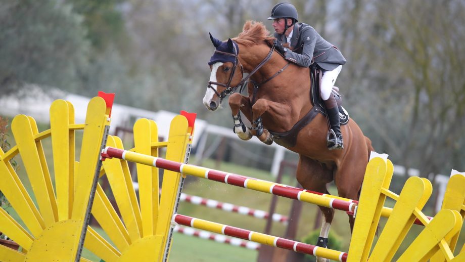 Four-month ban and $4,000 fine for rider who repeatedly hit horse with ...