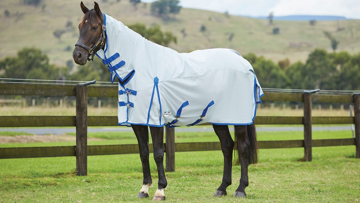 WeatherBeeta ComFiTec 600D/Mesh II waterproof fly rug | Horse & Hound