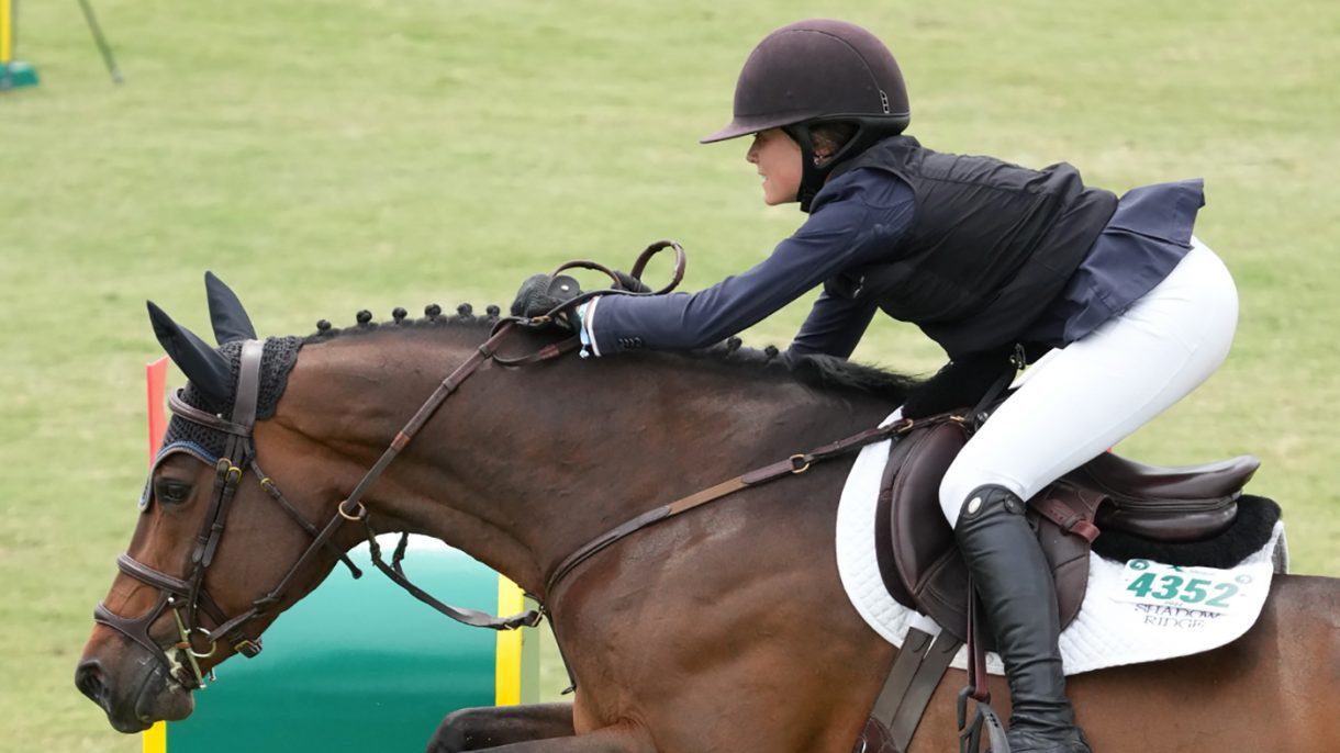 Snow Leopardess as Grand National favourite, and other things the horse ...