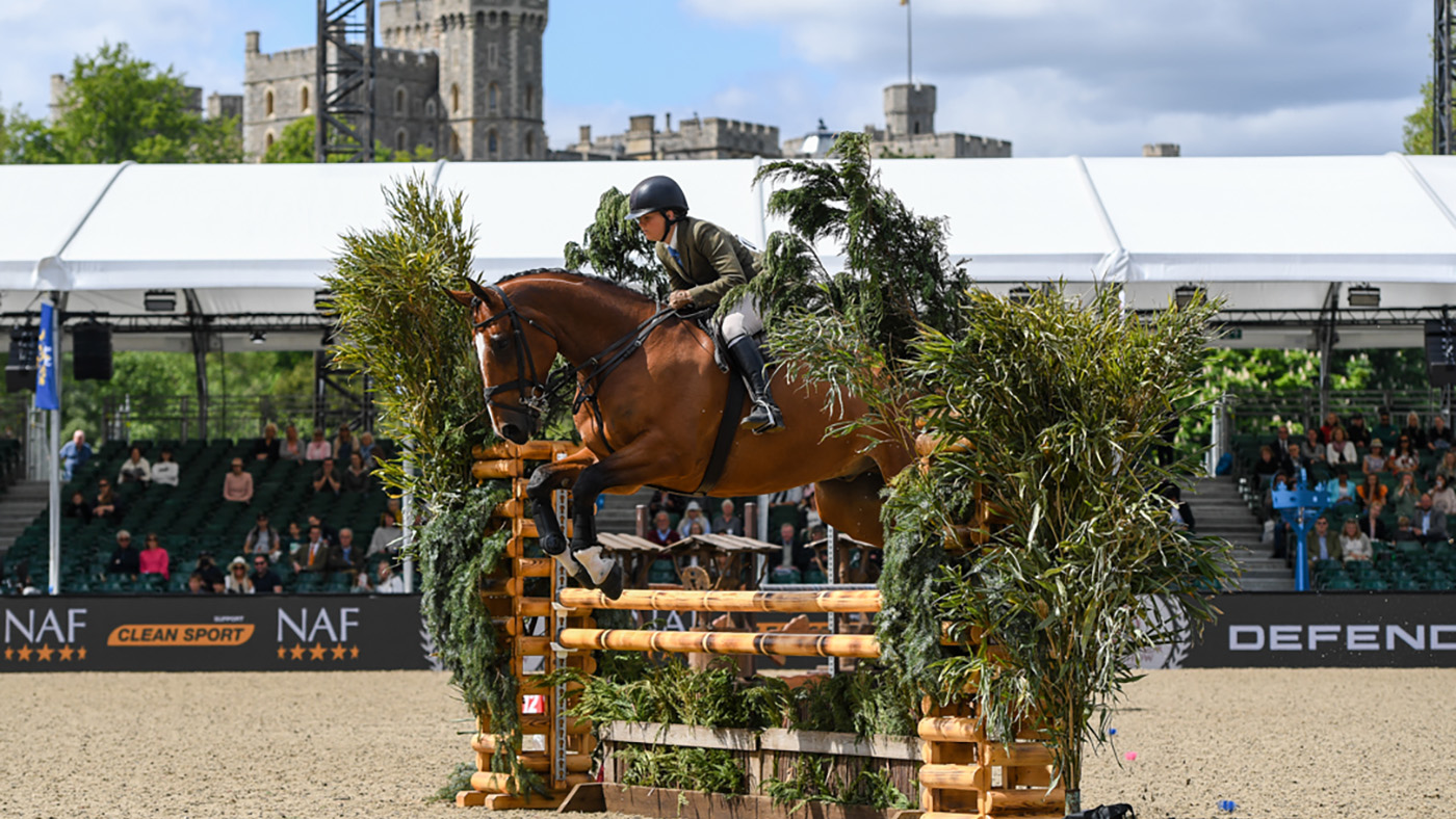 Heavyweight one-two in Royal Windsor working hunter championship