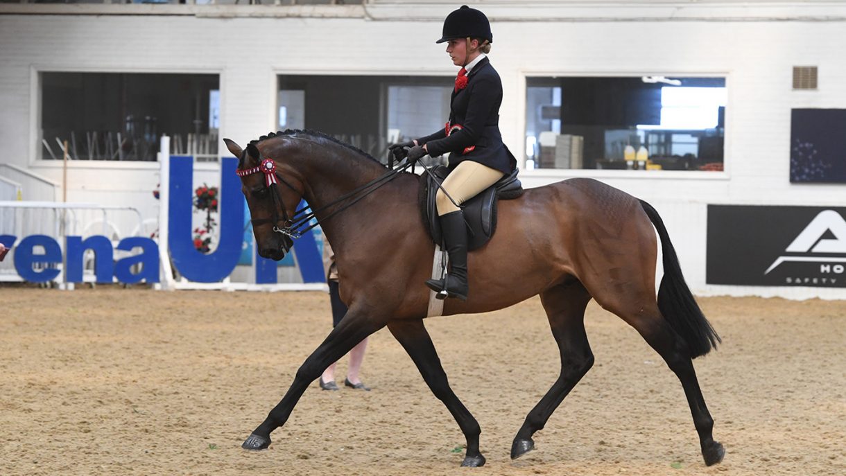 BSPS / British Show Pony Society latest news | Horse & Hound