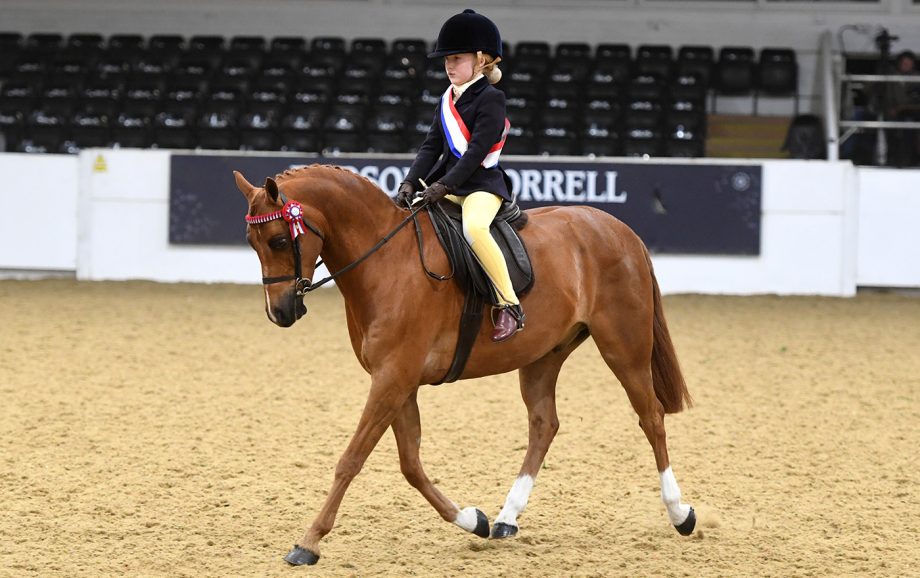 Who won at the 2022 BSPS winter championships? - Horse & Hound