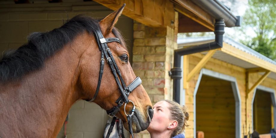 Bubby Upton's yard: behind the scenes with a top-class string of eventers