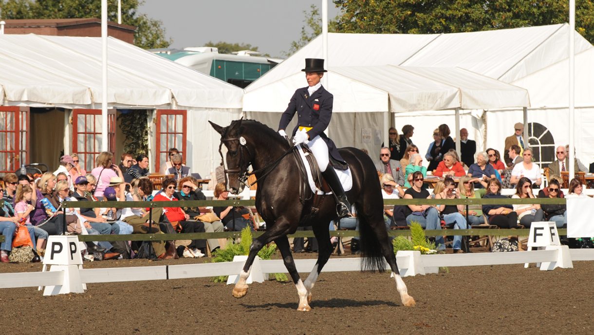 Meet the Shire horses who are excelling at dressage