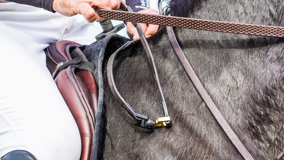 Free Reins designed to improve rider safety | Horse & Hound