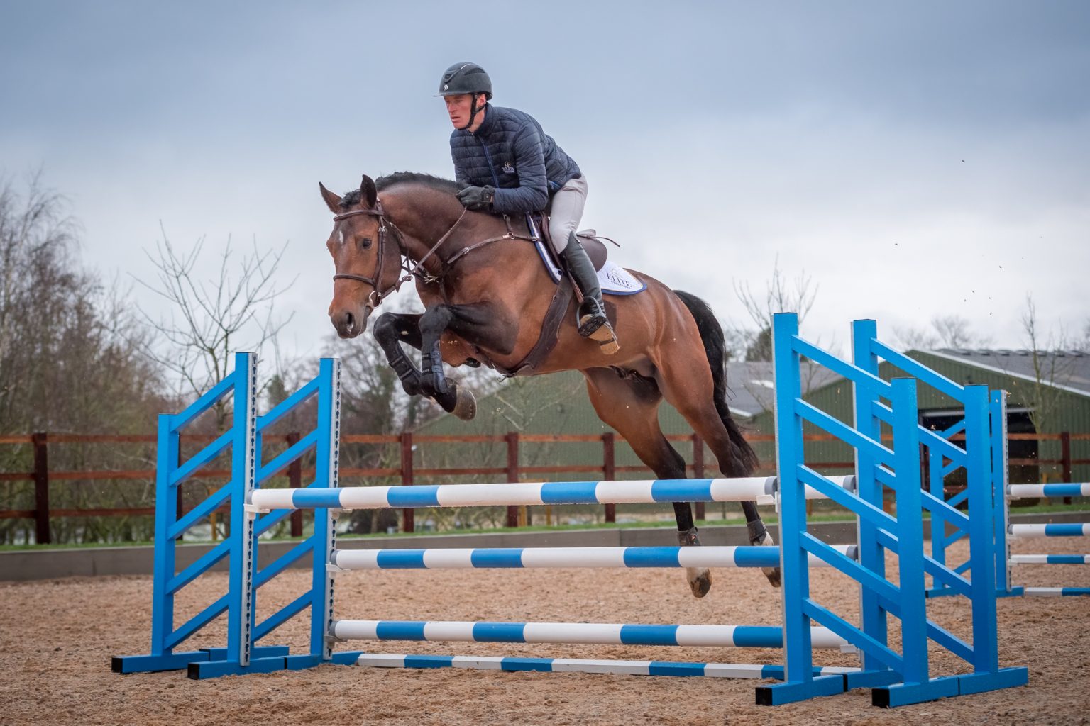 Nine young stallions standing in Britain to consider in 2022