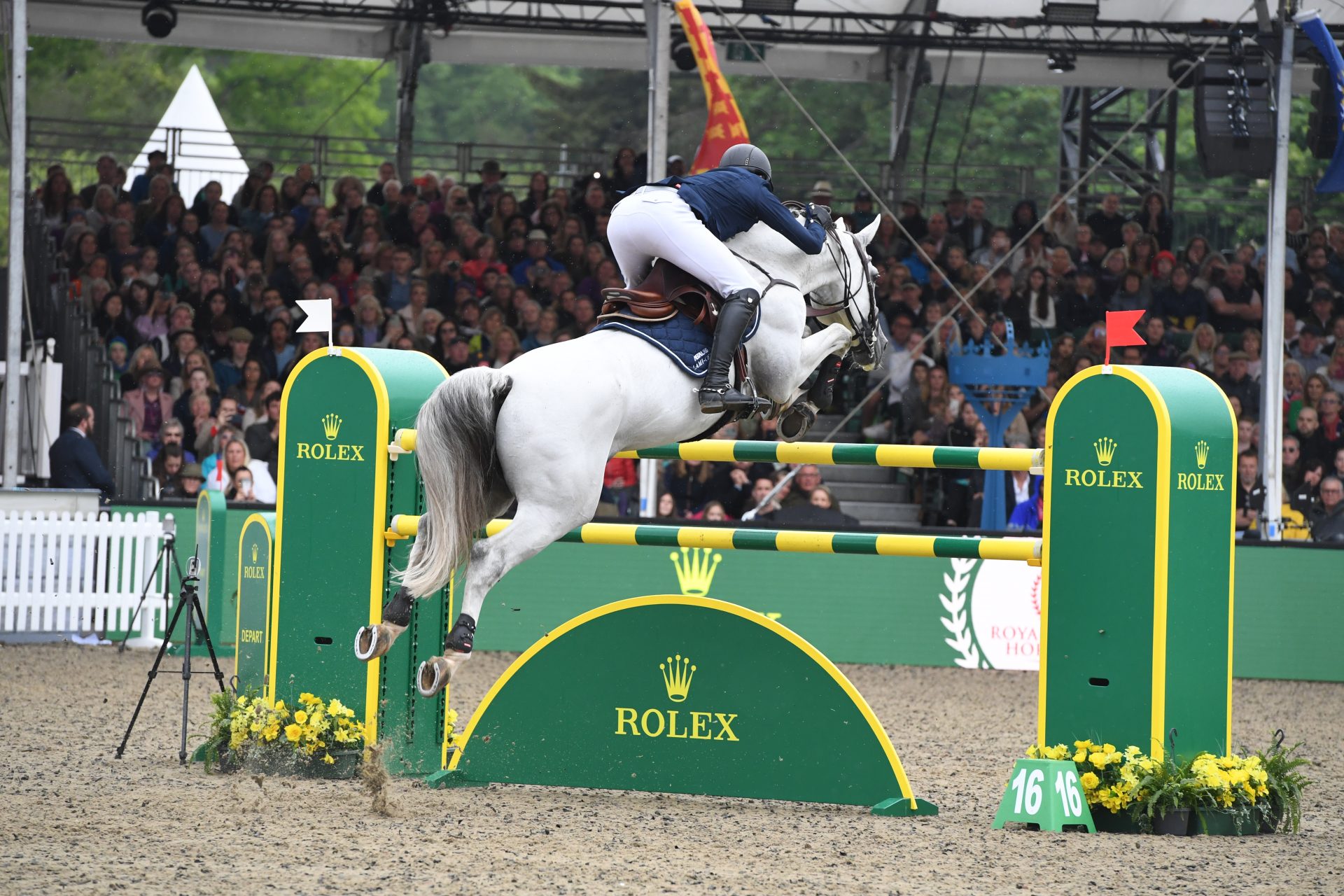 A jubilant 23yo, a soaring stallion and a rider with no stirrup: who ...