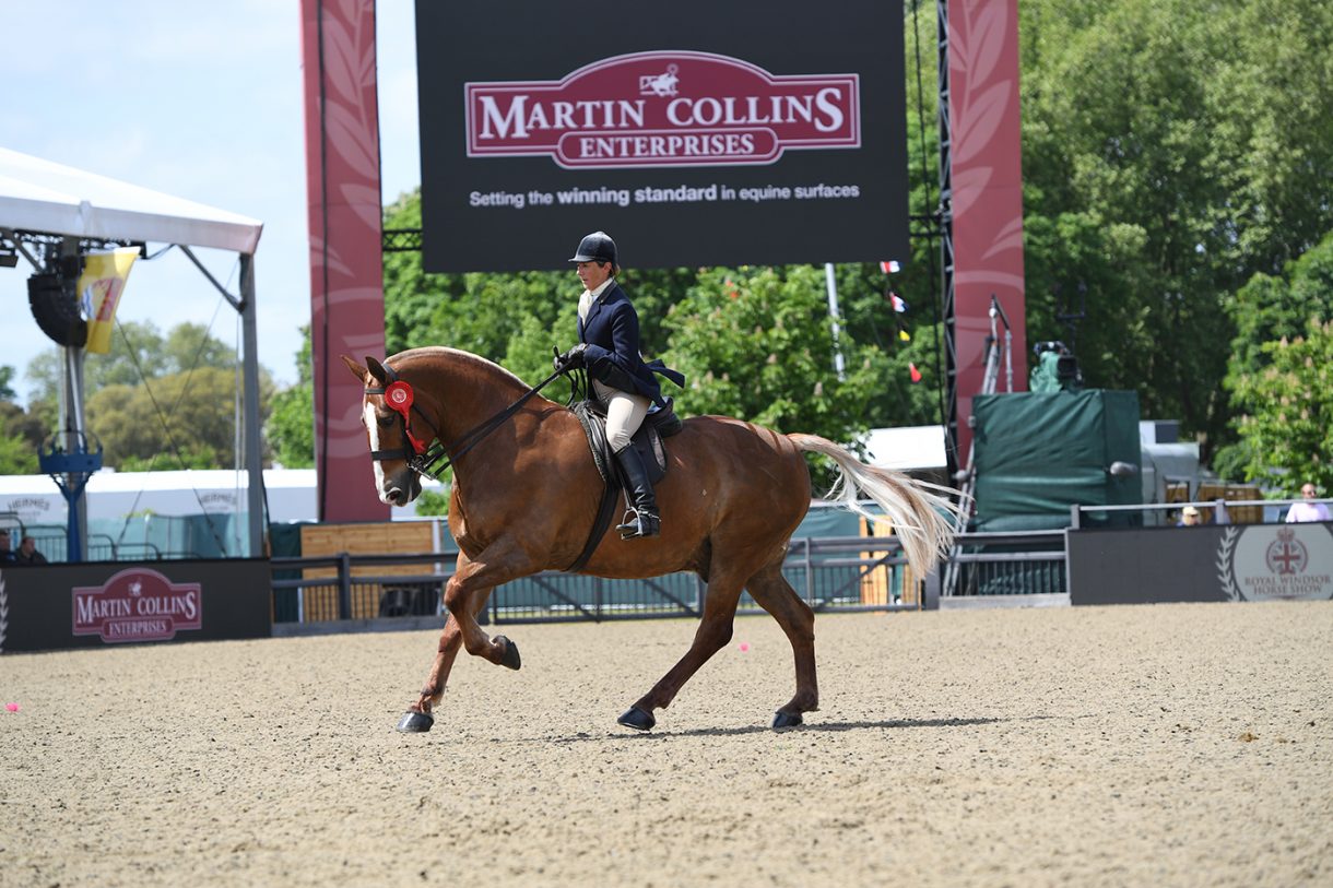 Winners from the 2022 Royal Windsor Horse Show - Horse & Hound