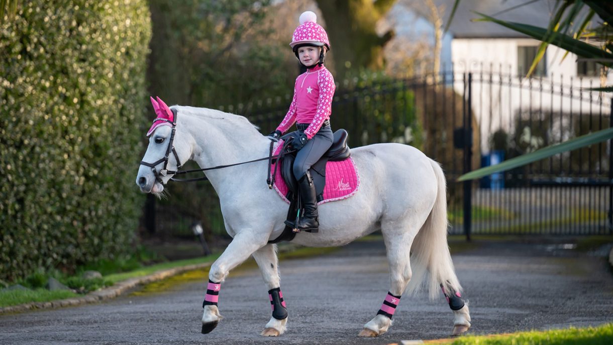 Best saddle pads for everyday wear with your GP | Horse & Hound