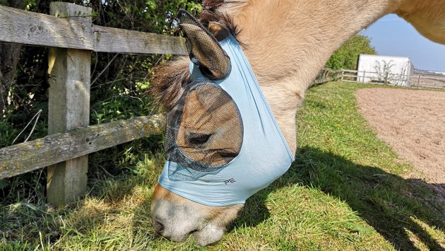 Best fly masks for horses in a range of designs | Horse & Hound