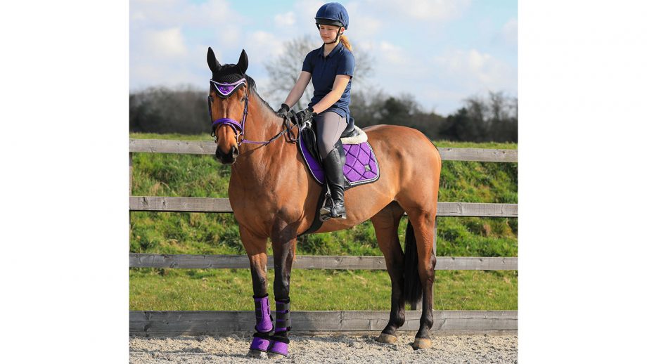 Matchy-matchy sets for every horse and rider | Horse & Hound
