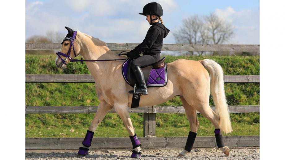 Matchy-matchy sets for ponies and children | Horse & Hound