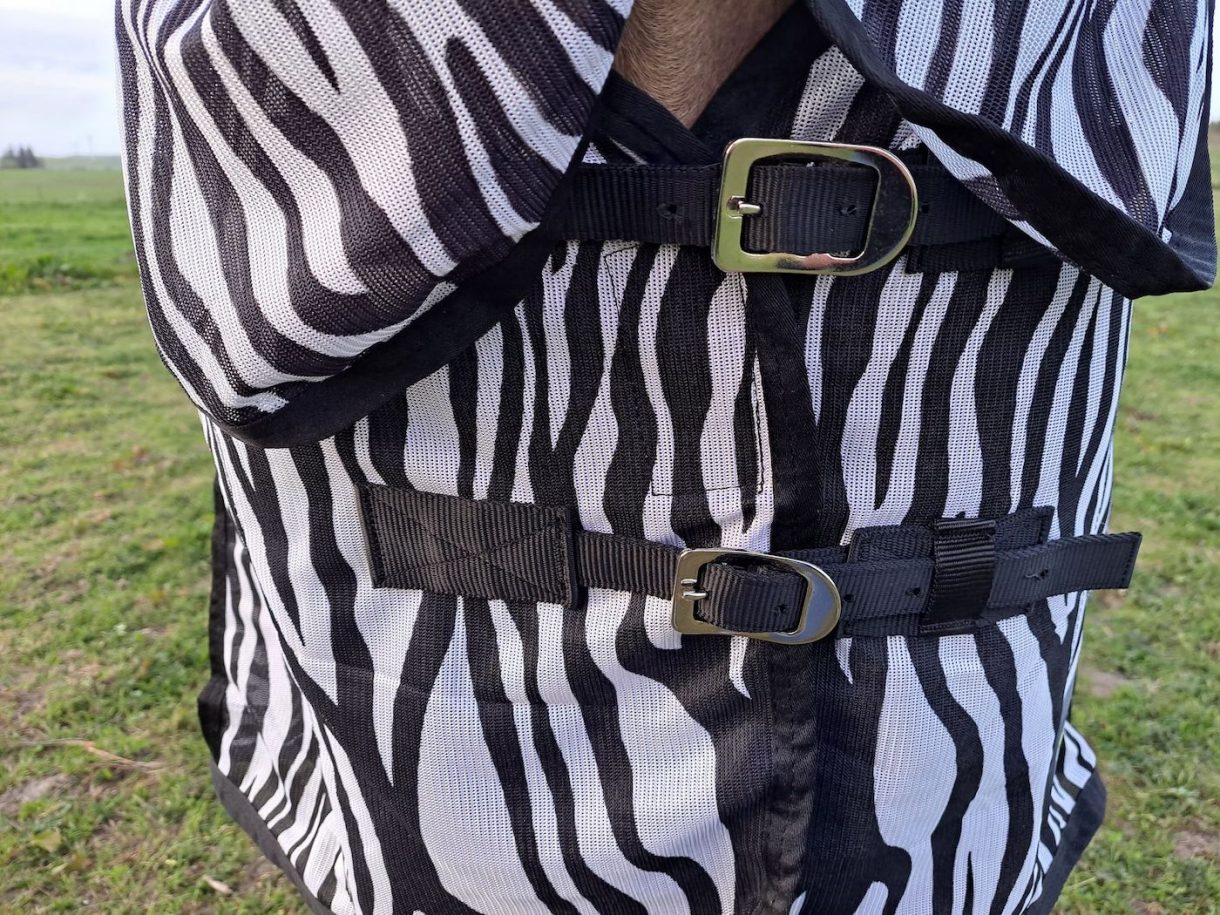 StormX Original Zebra Fly Rug review | Horse & Hound
