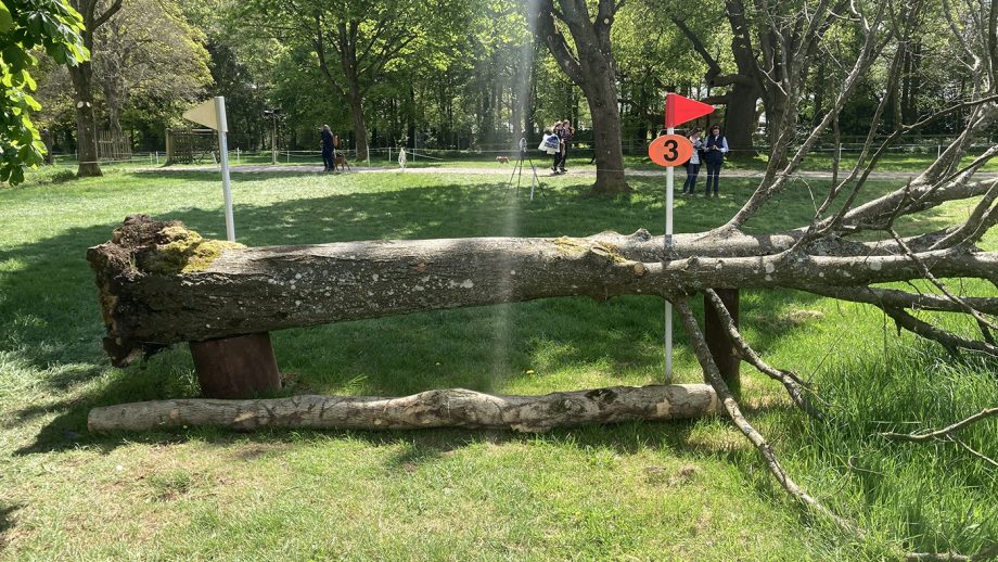 Badminton Grassroots Championships course: full gallery of BE90 fences