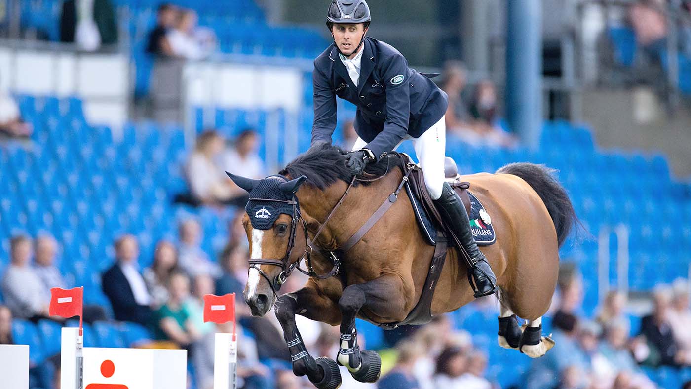 The stallion everyone's talking about, a ‘thankful and proud’ new mum ...