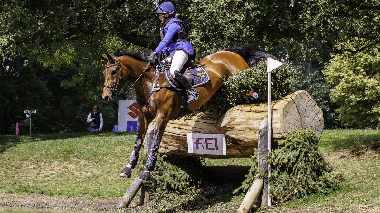 One-eyed horses welcome in new class for those ruled out of affiliated ...