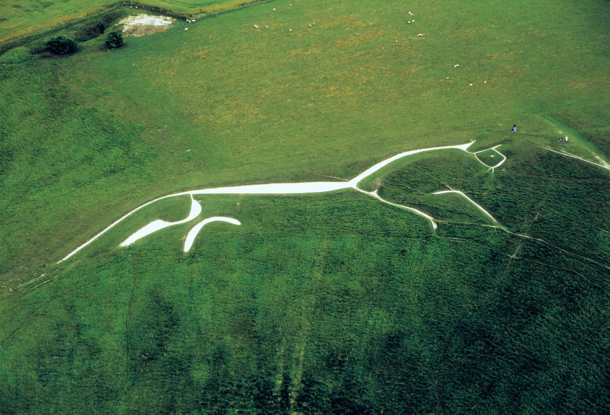 The white horses engraved on the hillsides of Great Britain