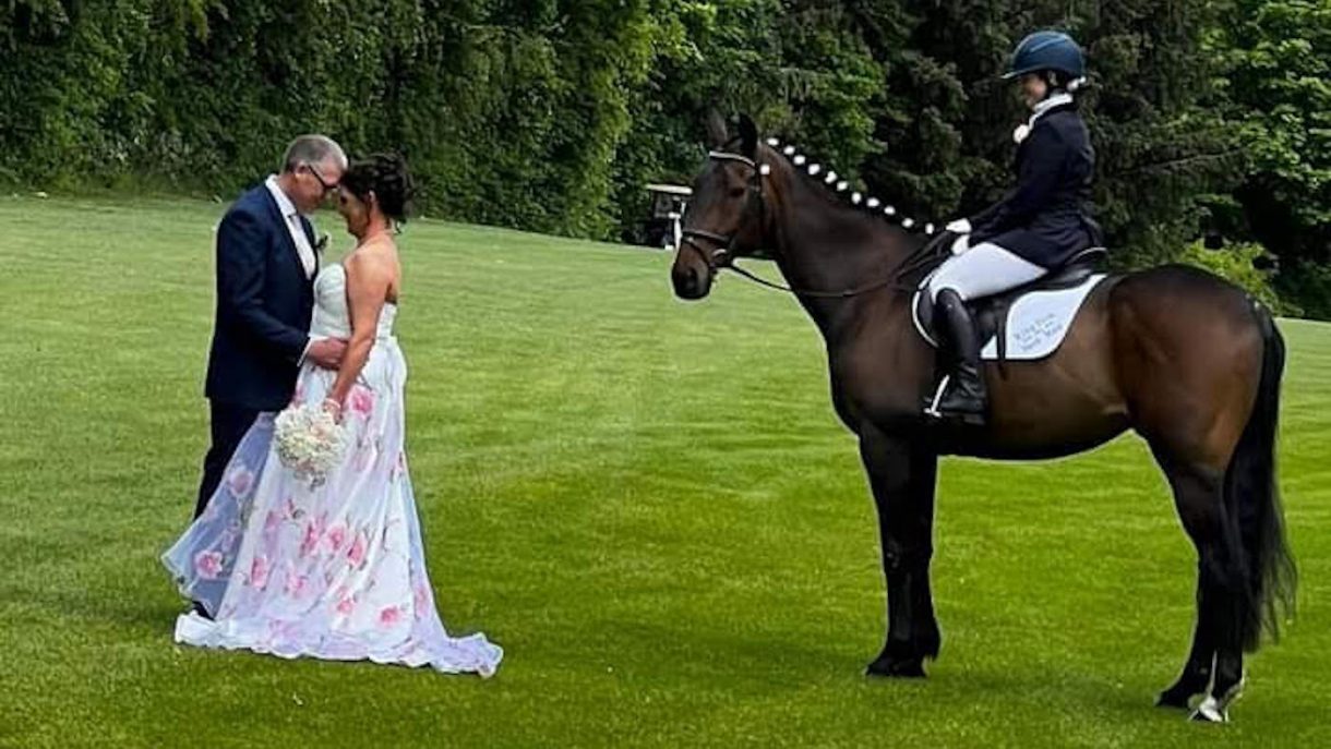 Horse wears ‘will you marry me?’ rug in rider’s ‘perfect proposal ...