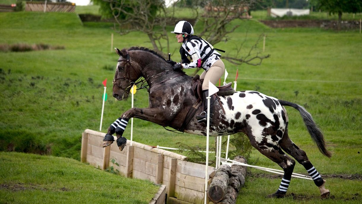 Eventing fitness plan to get a horse ready for BE100 competitions