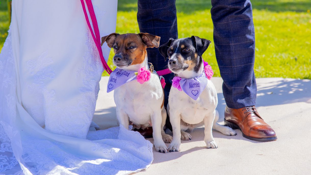 Gemma Tattersall wedding: Olympic event rider marries Gary Stevens