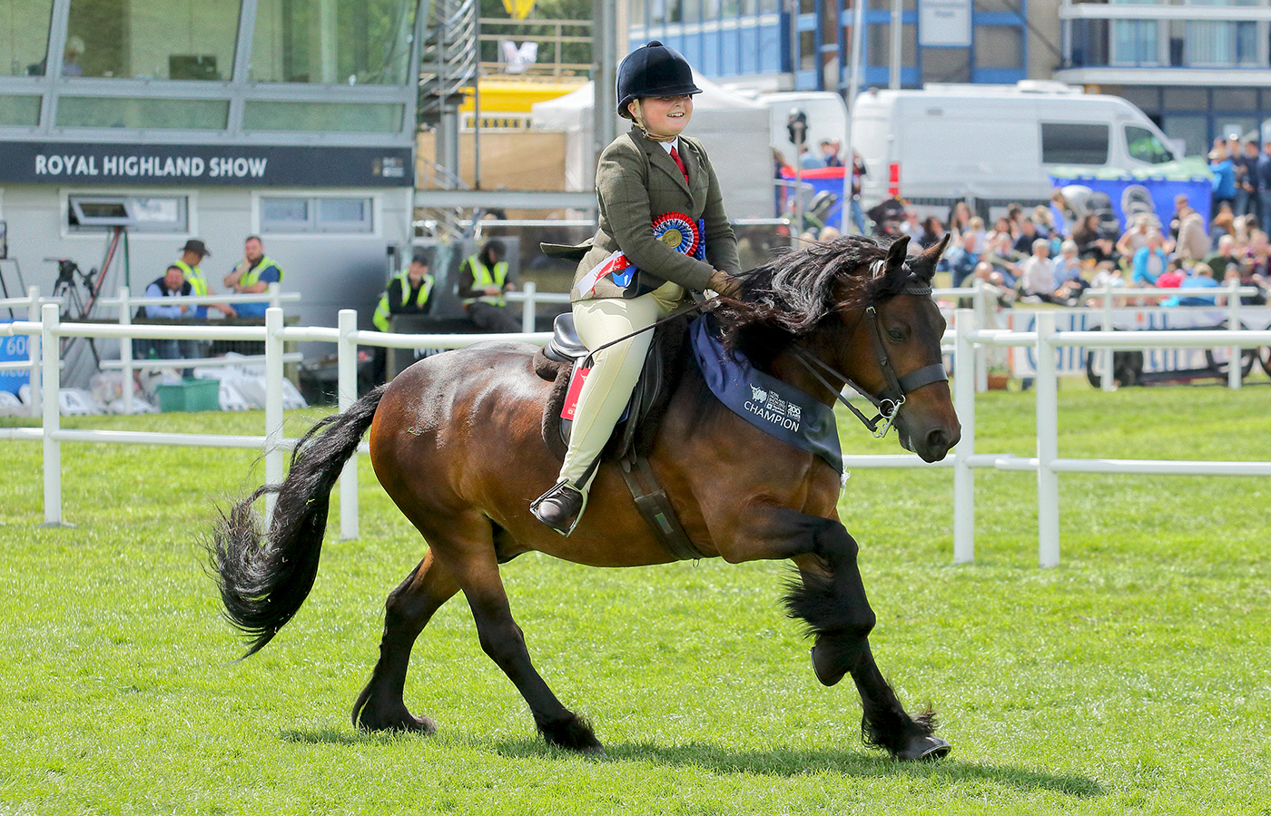 Kerry Wainwright: ‘Should M&M WHP classes have more marks for breed ...