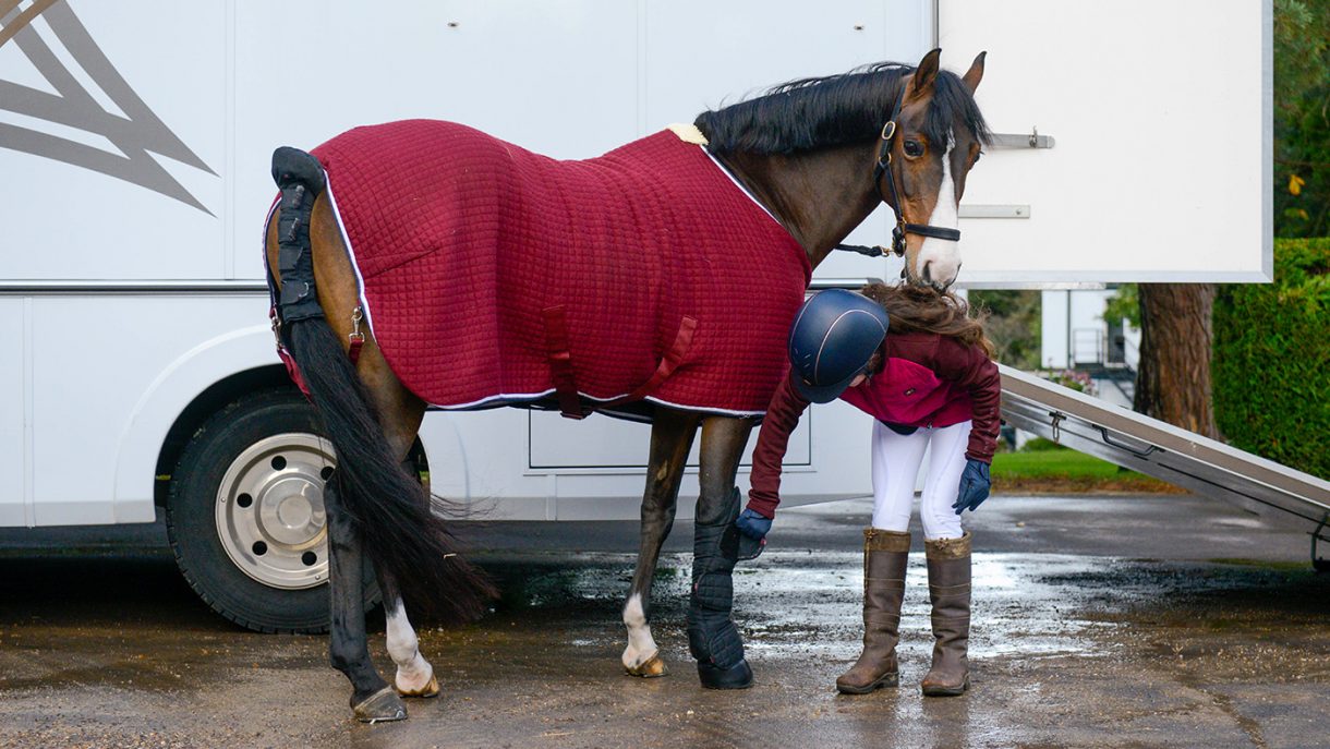 Best ice boots for horses – and why you need them | Horse & Hound
