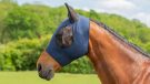 Best fly masks for horses in a range of designs | Horse & Hound