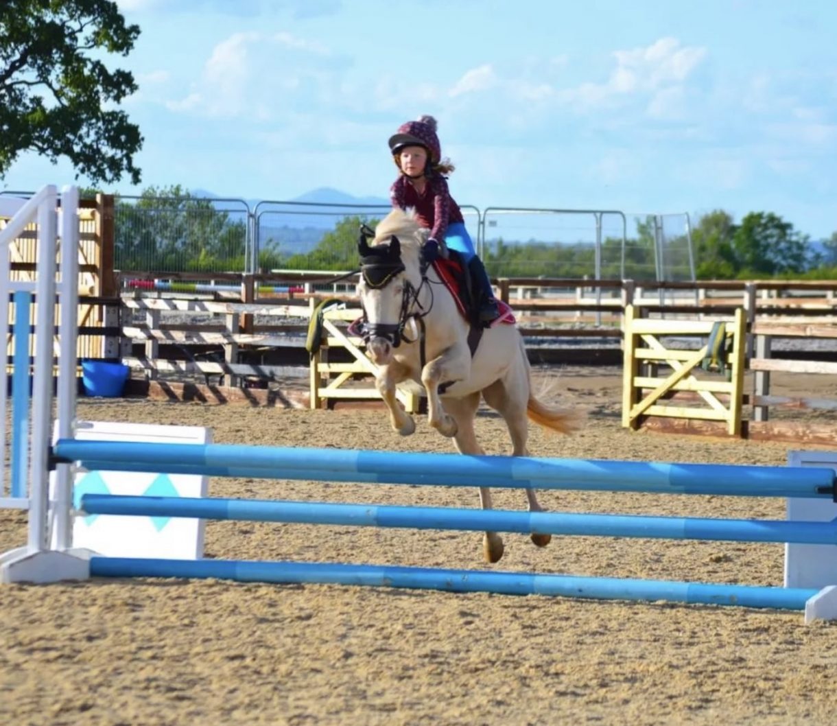 Tiny showjumper with a ‘need for speed’ dreams of winning at Hickstead