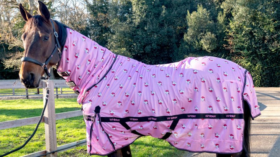 How to repair horse rugs: save money with these handy DIY tips