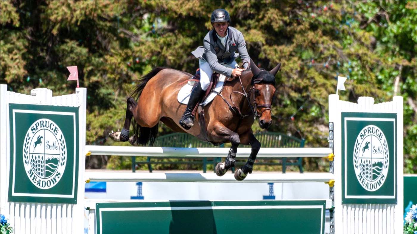 The stallion everyone's talking about, a ‘thankful and proud’ new mum ...