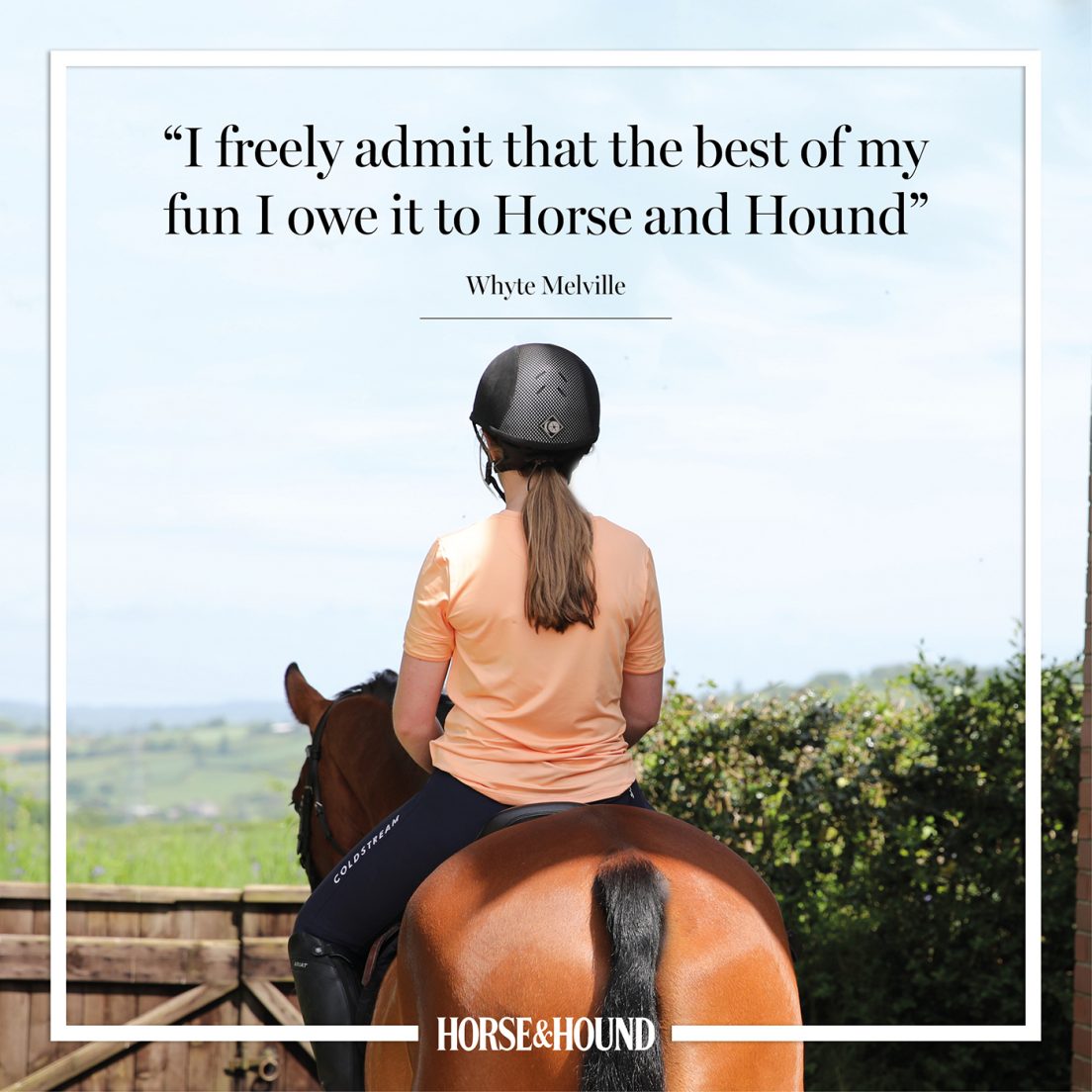 The best horse quotes of all time in pictures from Horse & Hound