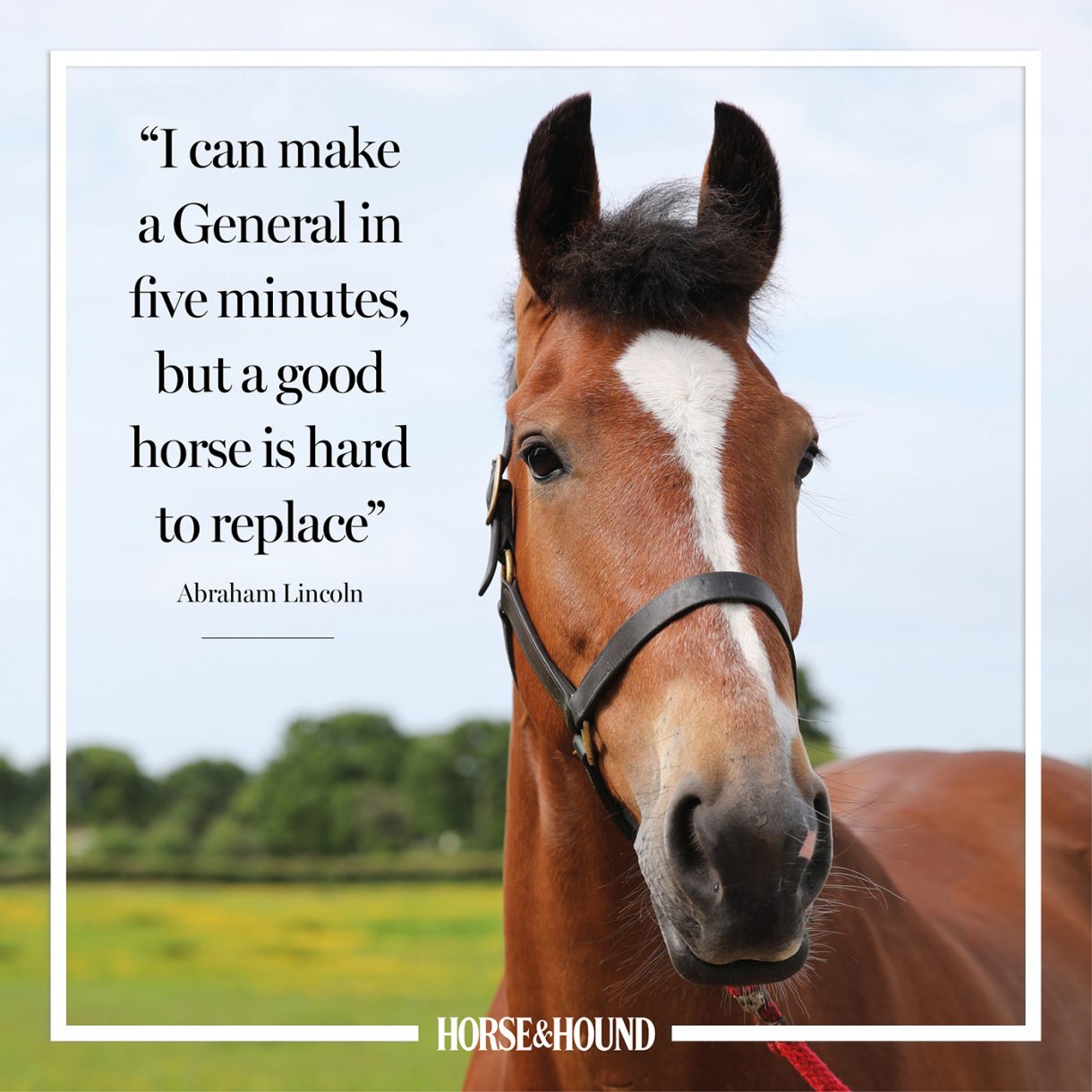 The best horse quotes of all time in pictures from Horse & Hound