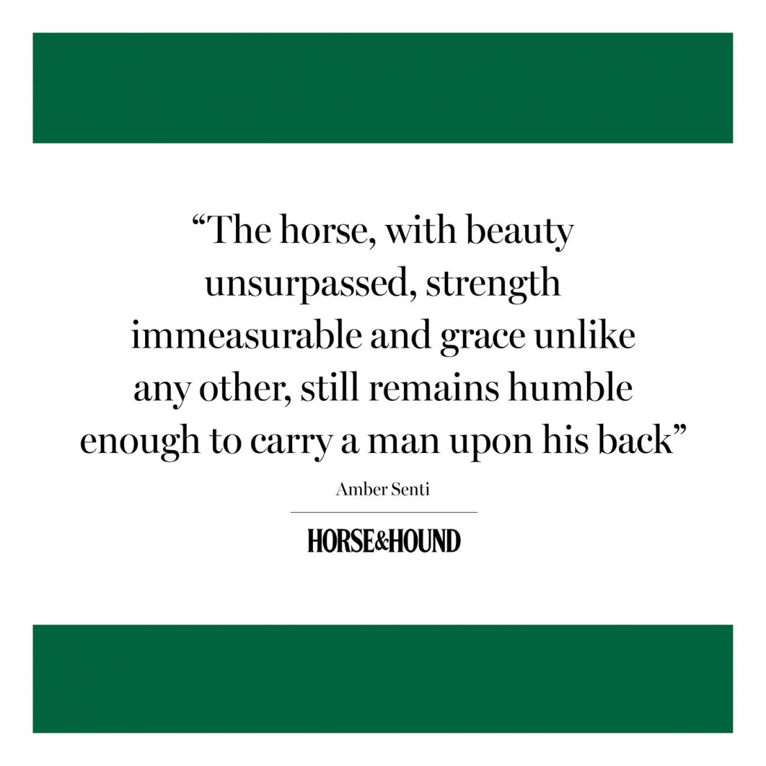 The best horse quotes of all time in pictures from Horse & Hound