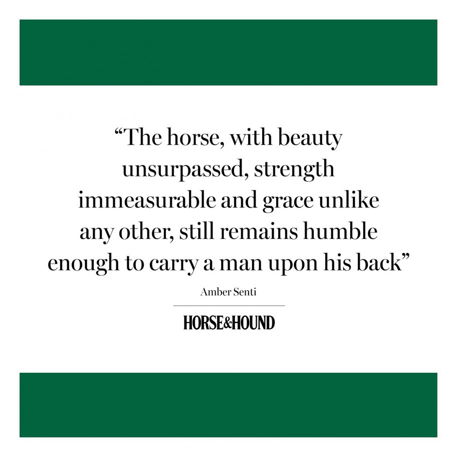 The best horse quotes of all time in pictures from Horse & Hound