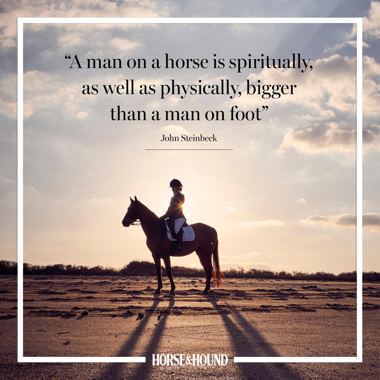 The best horse quotes of all time in pictures from Horse & Hound