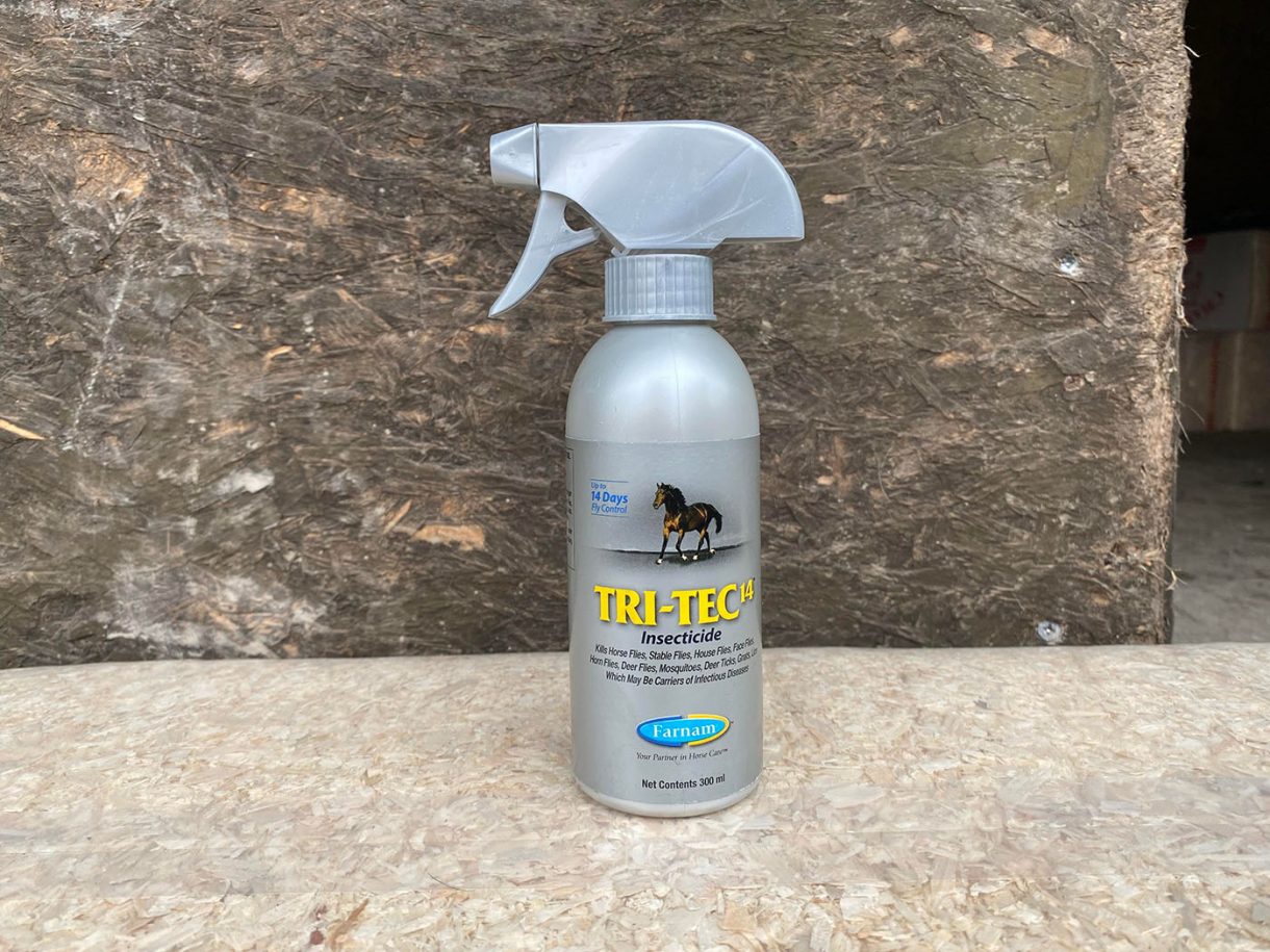 Best fly sprays for horses and their premises | Horse & Hound