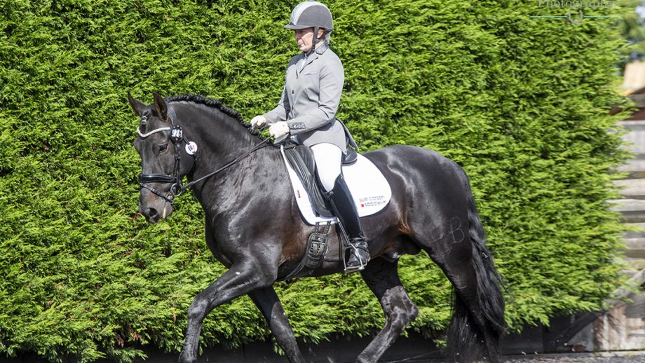 Equestrian news from Horse & Hound